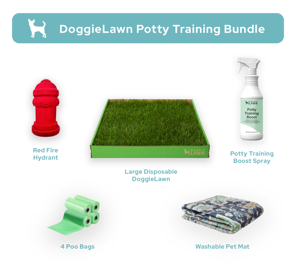 Grass Potty Training 5-in-1 Bundle Kit for Dogs | DoggieLawn