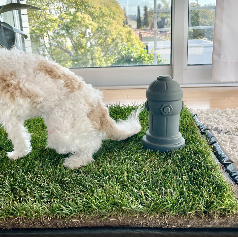 Silicone Fire Hydrant for Dog Potty Training | DoggieLawn