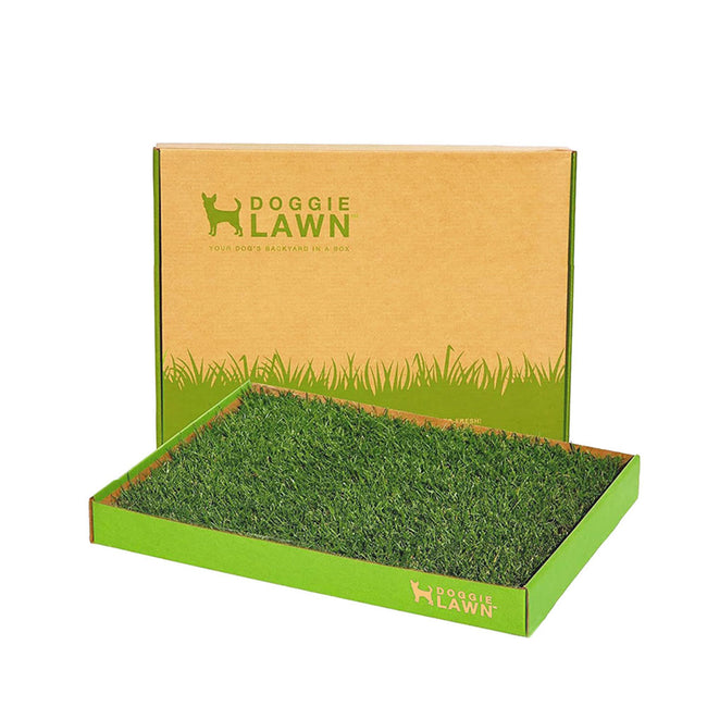 Disposable Grass Potty for Dogs | DoggieLawn